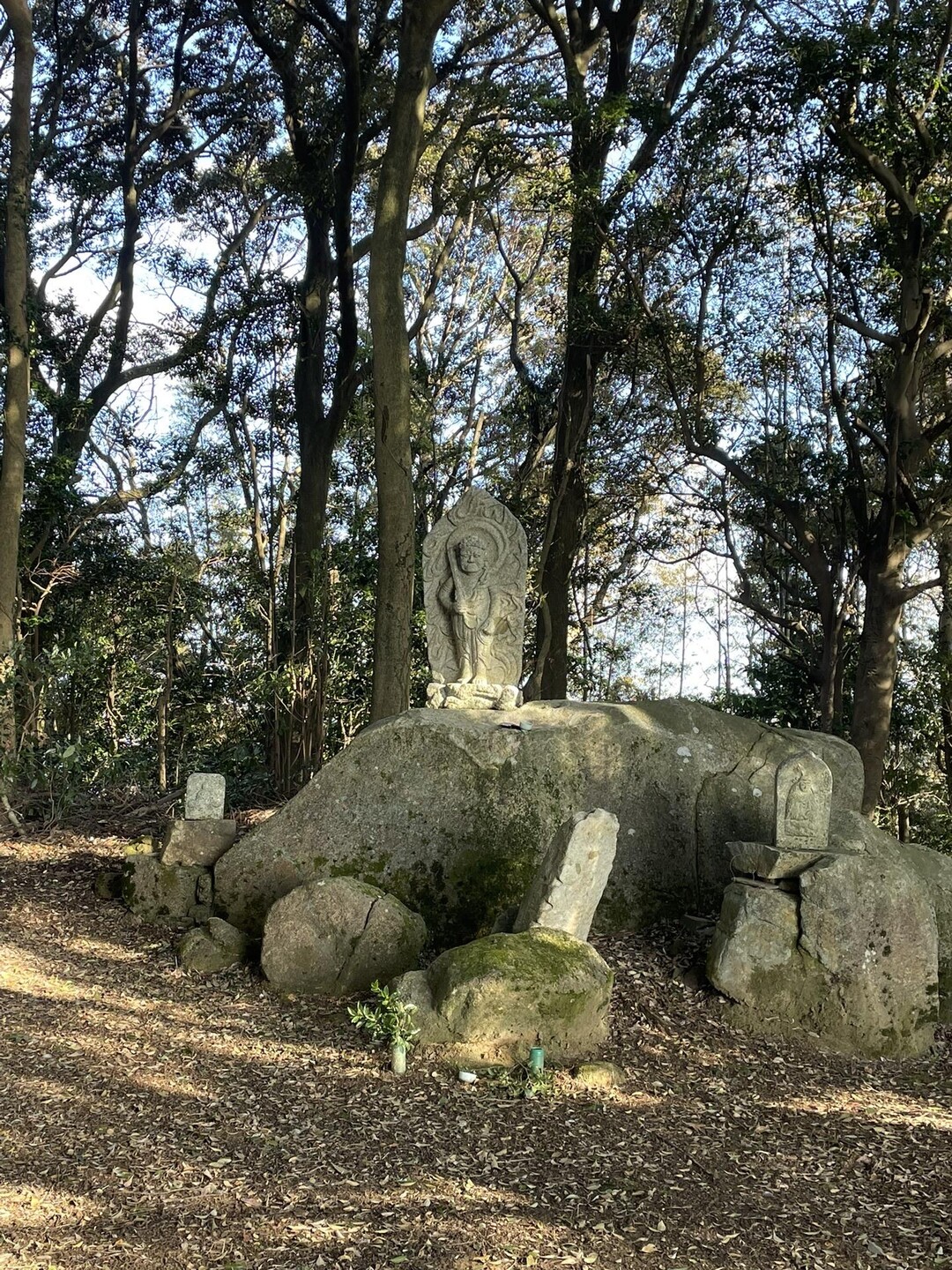 蓮台寺山 （参考ログはkoma xさん / JBT会員番号5さんの山陽小野田市の活動日記 | YAMAP / ヤマップ