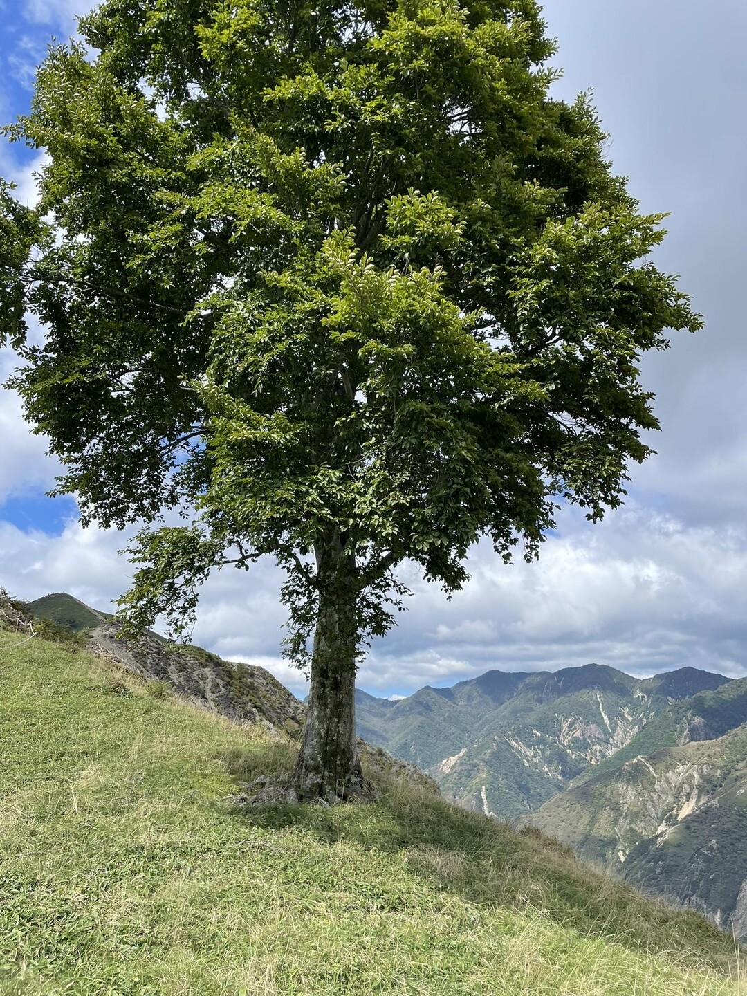 中倉山 / JIROさんの社山・半月山の活動データ | YAMAP / ヤマップ