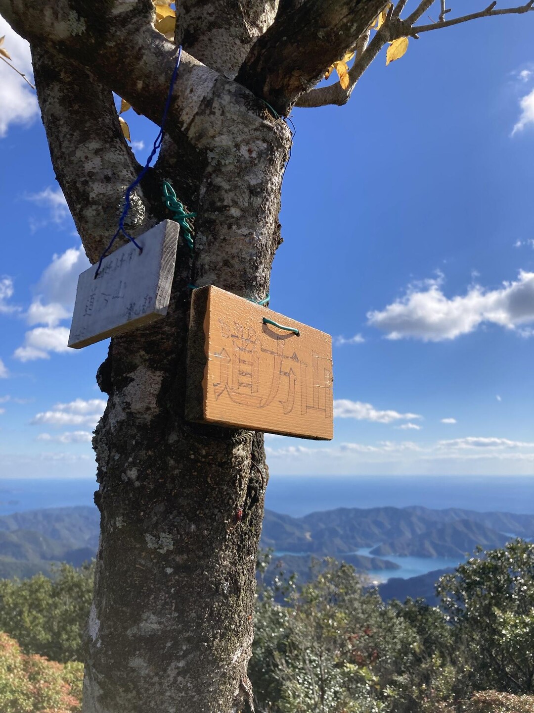 200座達成 &度会セブンラスト倭ノ姫山⛰️👍🏻 / T-boyさんの高山の活動データ | YAMAP / ヤマップ