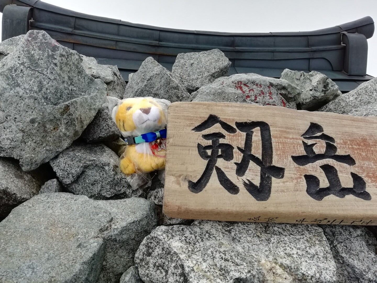 秋の始まりに早月尾根 / yamanobu jr.さんの剱岳の活動データ | YAMAP / ヤマップ