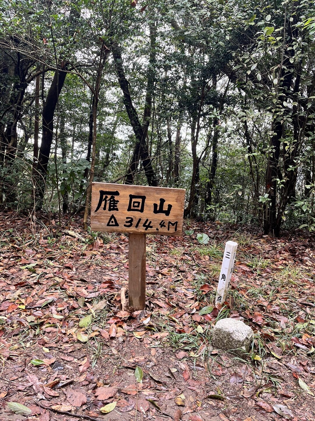 雁回山 / nanamiさんの雁回山の活動データ | YAMAP / ヤマップ