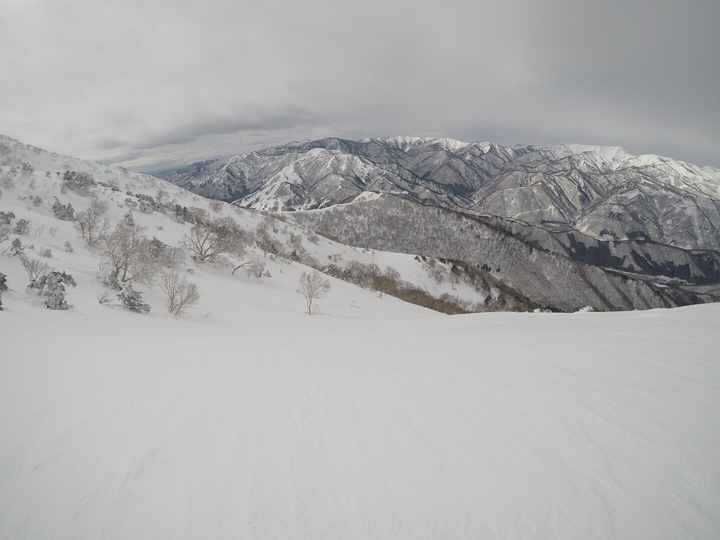 平標山BC 平標沢・栂ノ沢 / Mt.yuさんの仙ノ倉山・平標山・大源太山の活動日記 | YAMAP / ヤマップ