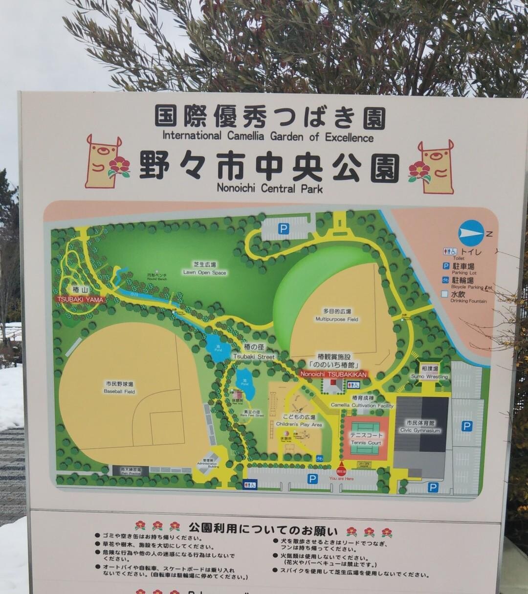 2-3 椿山 ピークハント / からしさんの金沢市の活動データ | YAMAP / ヤマップ