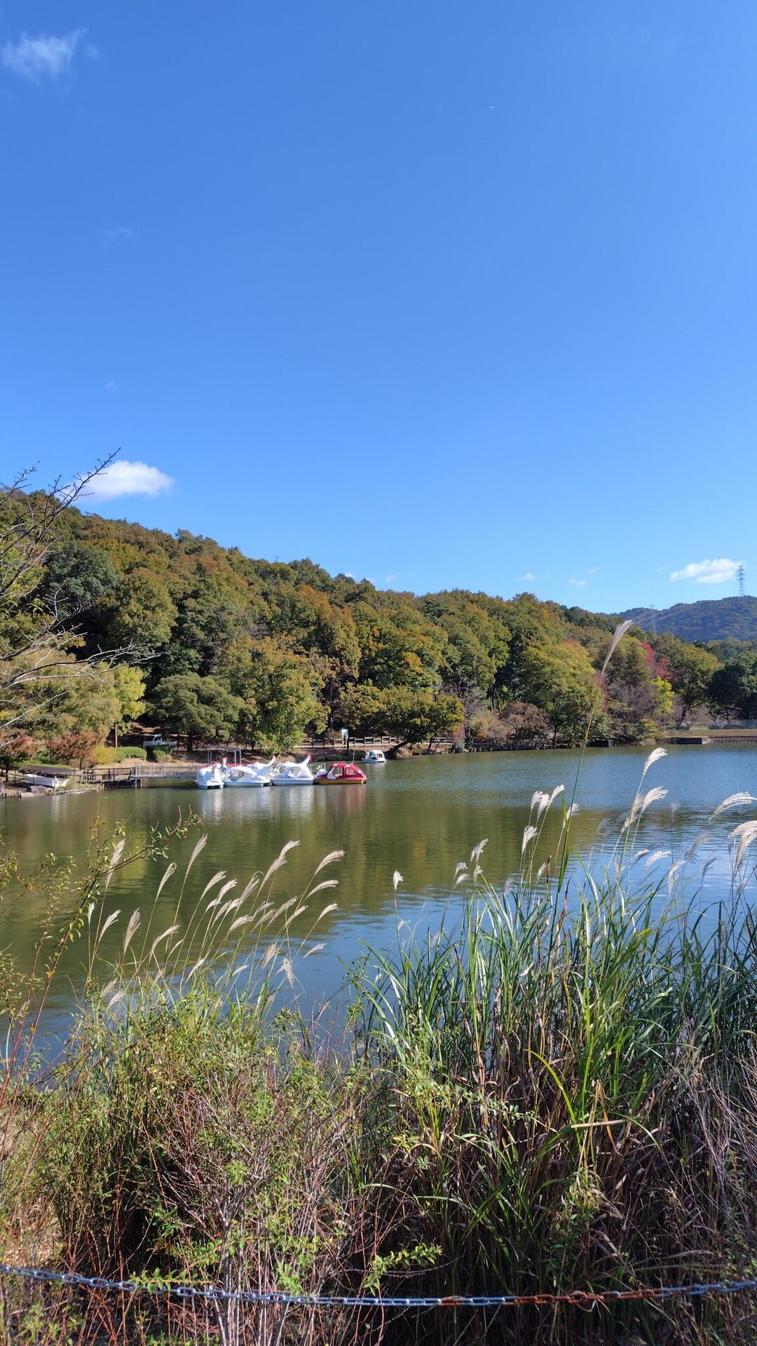 道樹山・大谷山・弥勒山 / IKU🐒さんの春日井三山・弥勒山・大谷山・道樹山の活動データ | YAMAP / ヤマップ