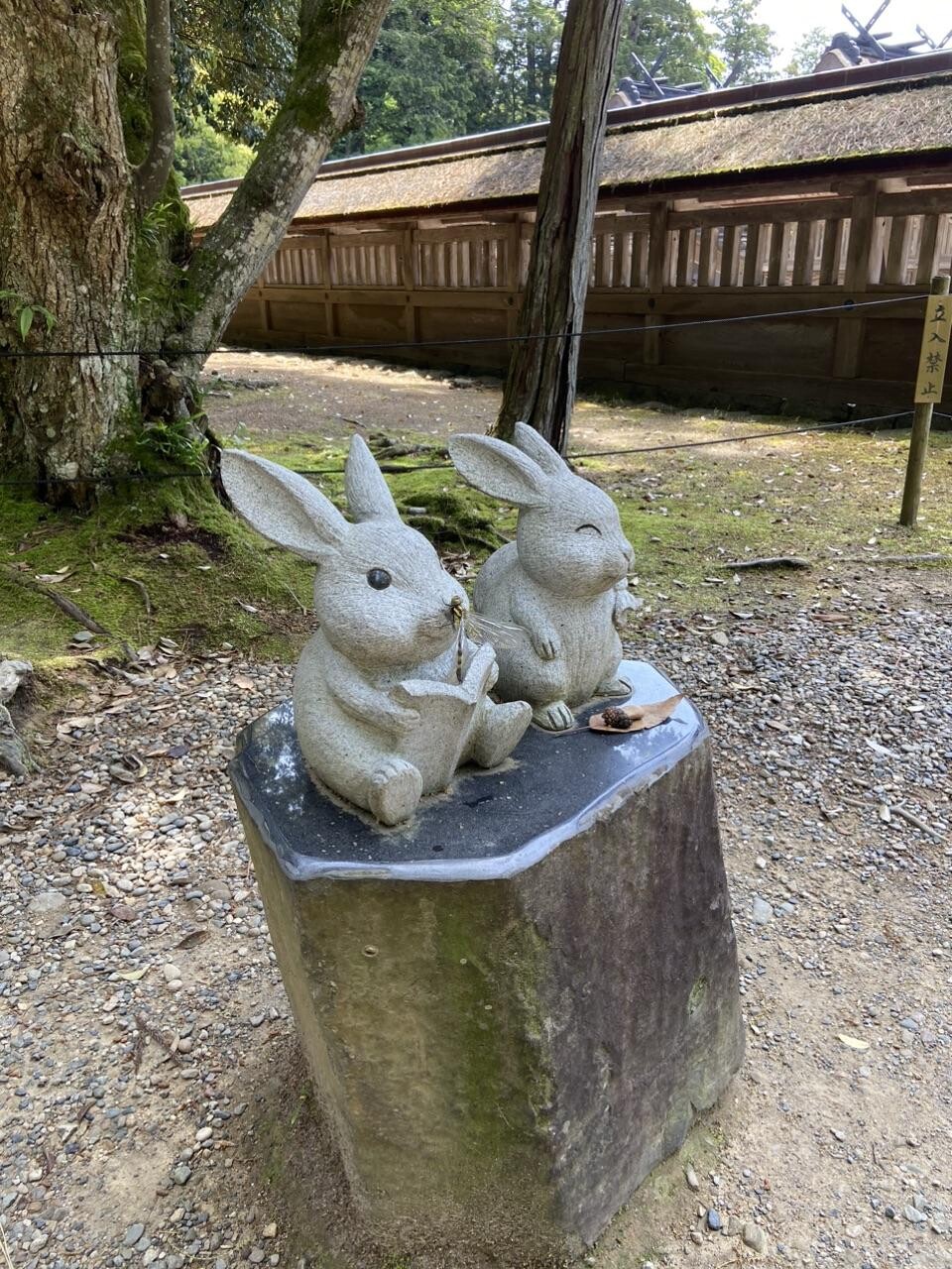 totoのページ | YAMAP / ヤマップ