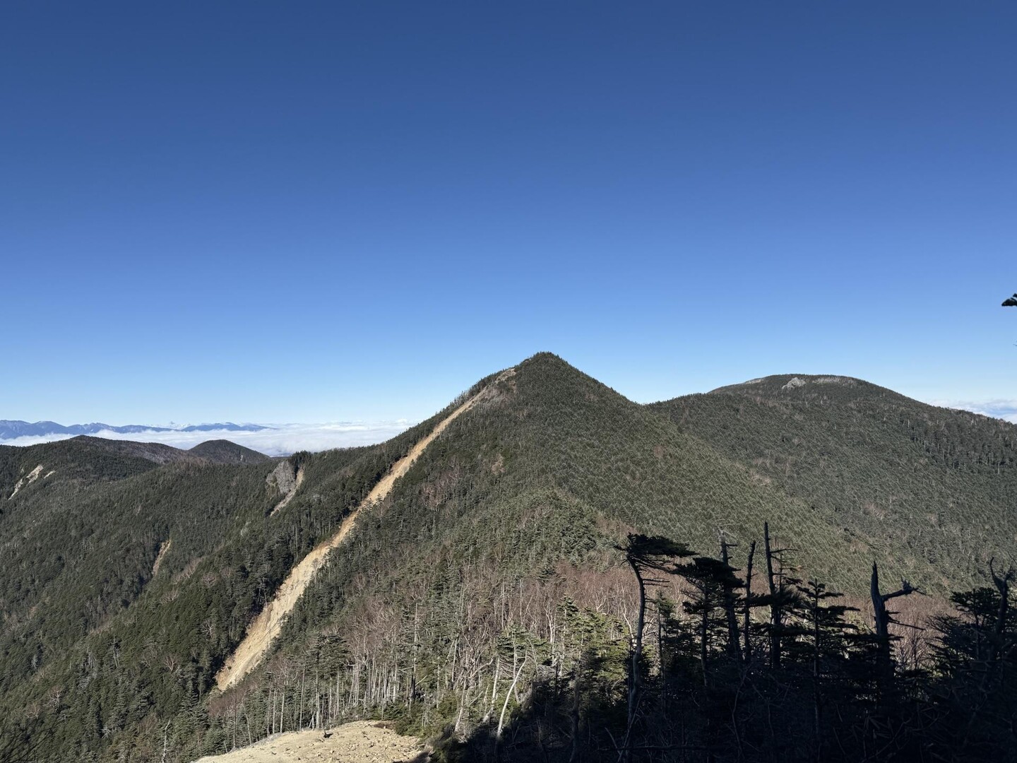 木賊山・甲武信ヶ岳 / OS 1さんの甲武信ヶ岳の活動データ | YAMAP / ヤマップ