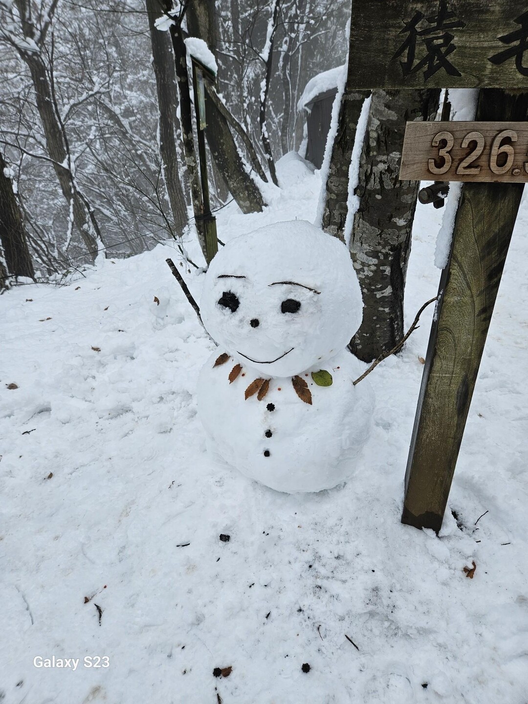 猿毛岳 199 ダルマ祭 / 一路さんの猿毛岳の活動データ | YAMAP / ヤマップ