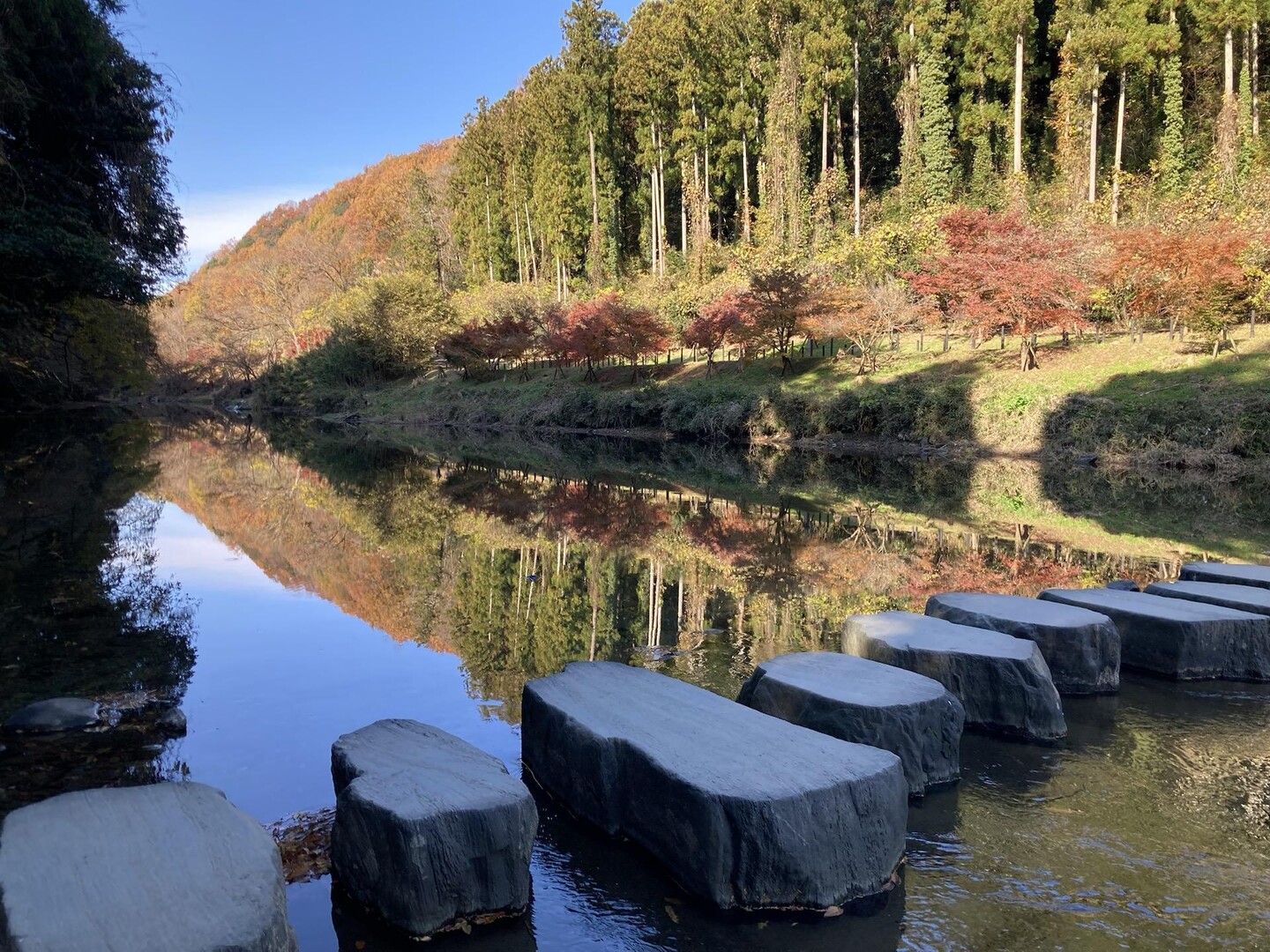 紅葉真っ盛りの嵐山渓谷と大平山 / plasmonさんの武蔵嵐山・大平山・仙元山の活動データ | YAMAP / ヤマップ