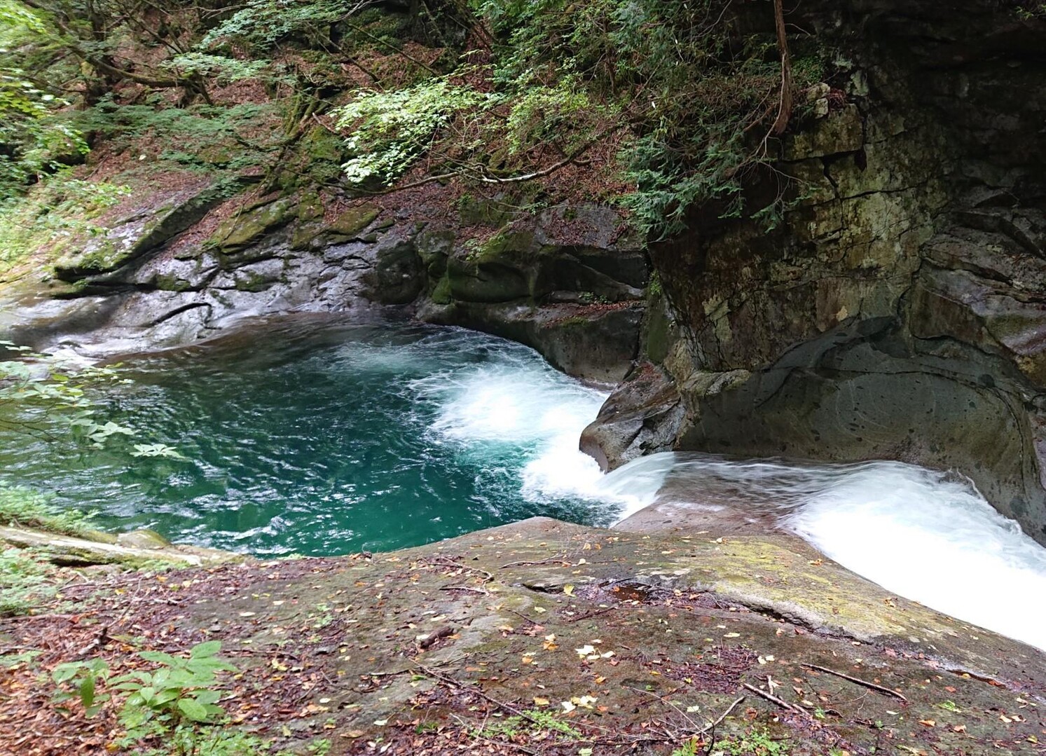 西沢渓谷…無念の撤退😭 / ashさんの甲武信ヶ岳の活動データ | YAMAP / ヤマップ