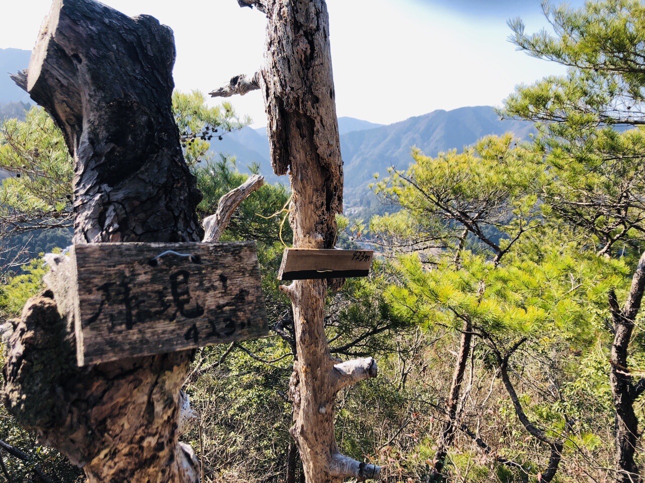 へっぽこさん動画を参考にして夫婦でショー... / yoshiさんのモーメント | YAMAP / ヤマップ