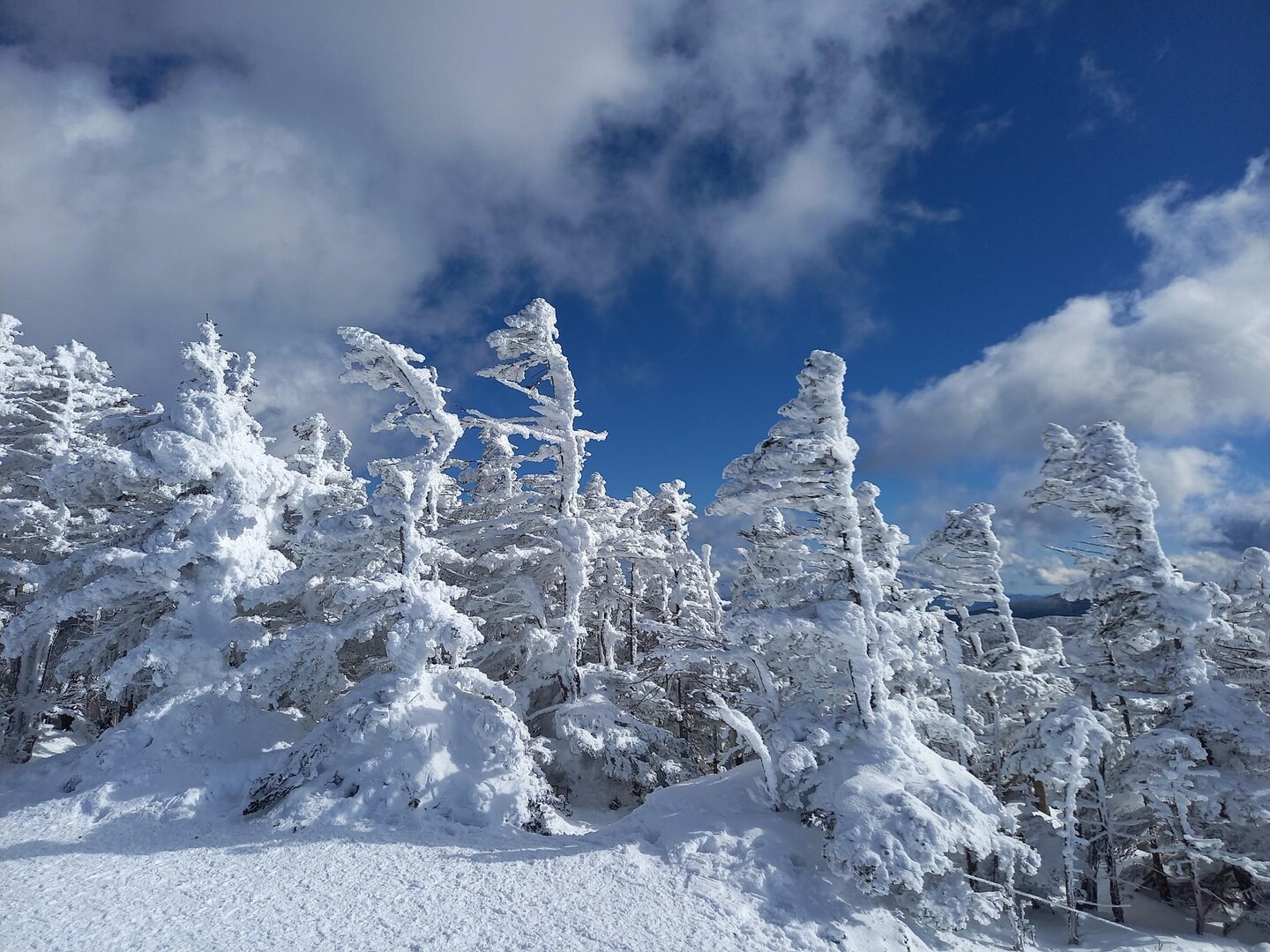 北横岳（南峰）・北横岳（北峰） / ya ꪔ̤̥ꪔ̤̮ꪔ̤̫ ̖́-‬さんの蓼科山・横岳・縞枯山の活動データ | YAMAP / ヤマップ