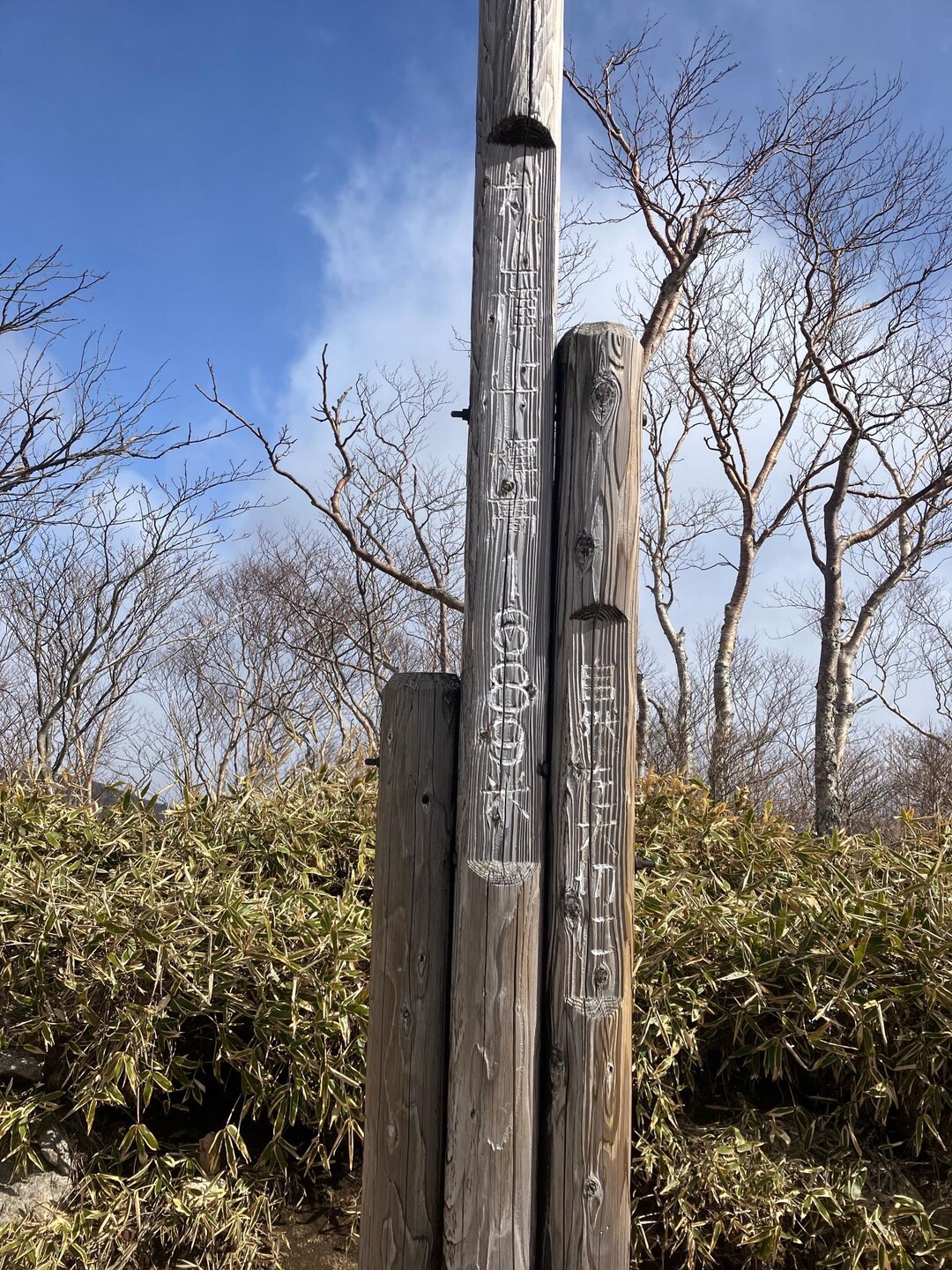小丸山・丸山 / tsutomuさんの女峰山・赤薙山・大真名子山の活動データ | YAMAP / ヤマップ