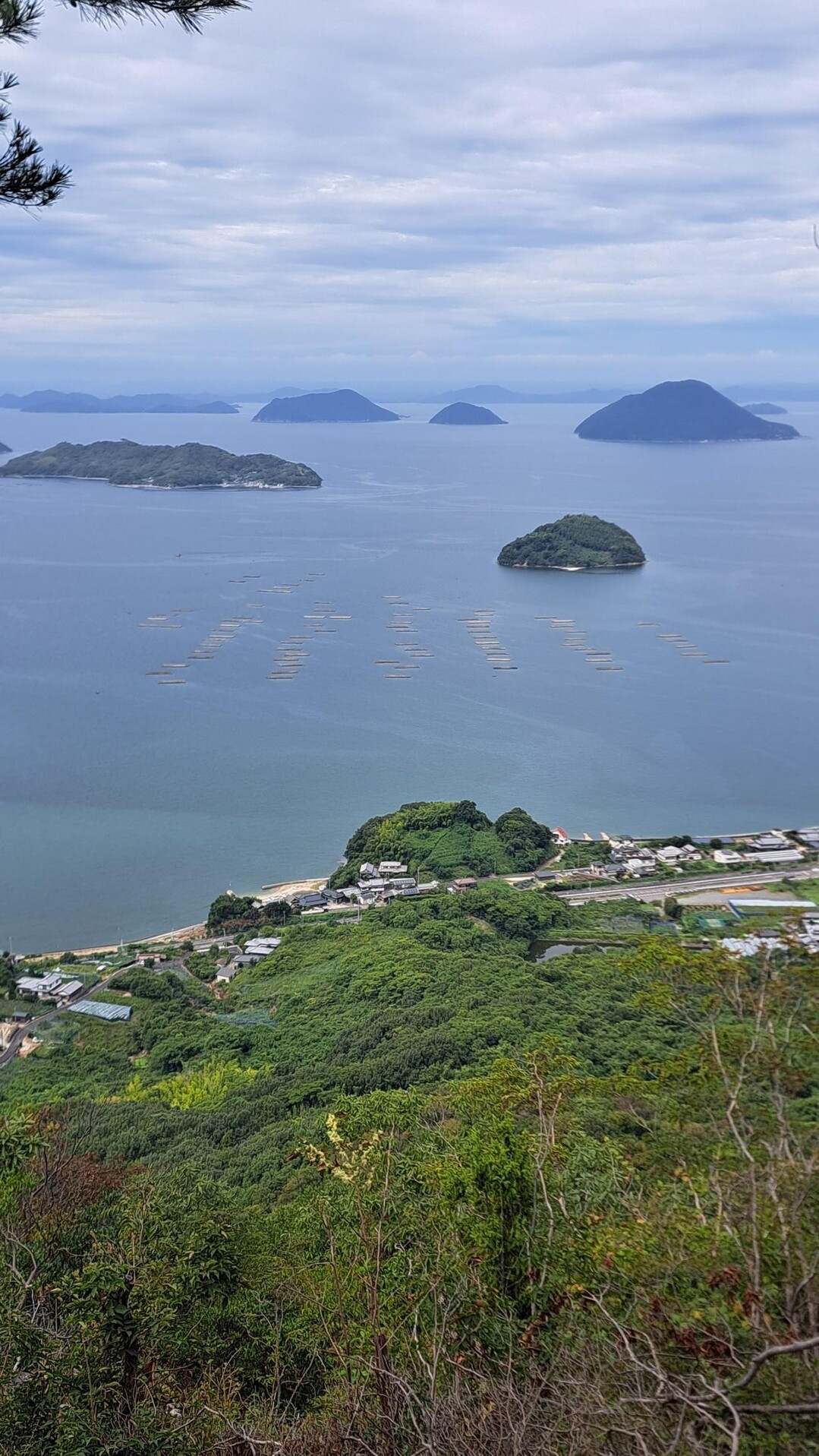 「ゆっくりと歩を進め 楽々と頂きを踏む ... / Guestコシアブラさんのモーメント | YAMAP / ヤマップ