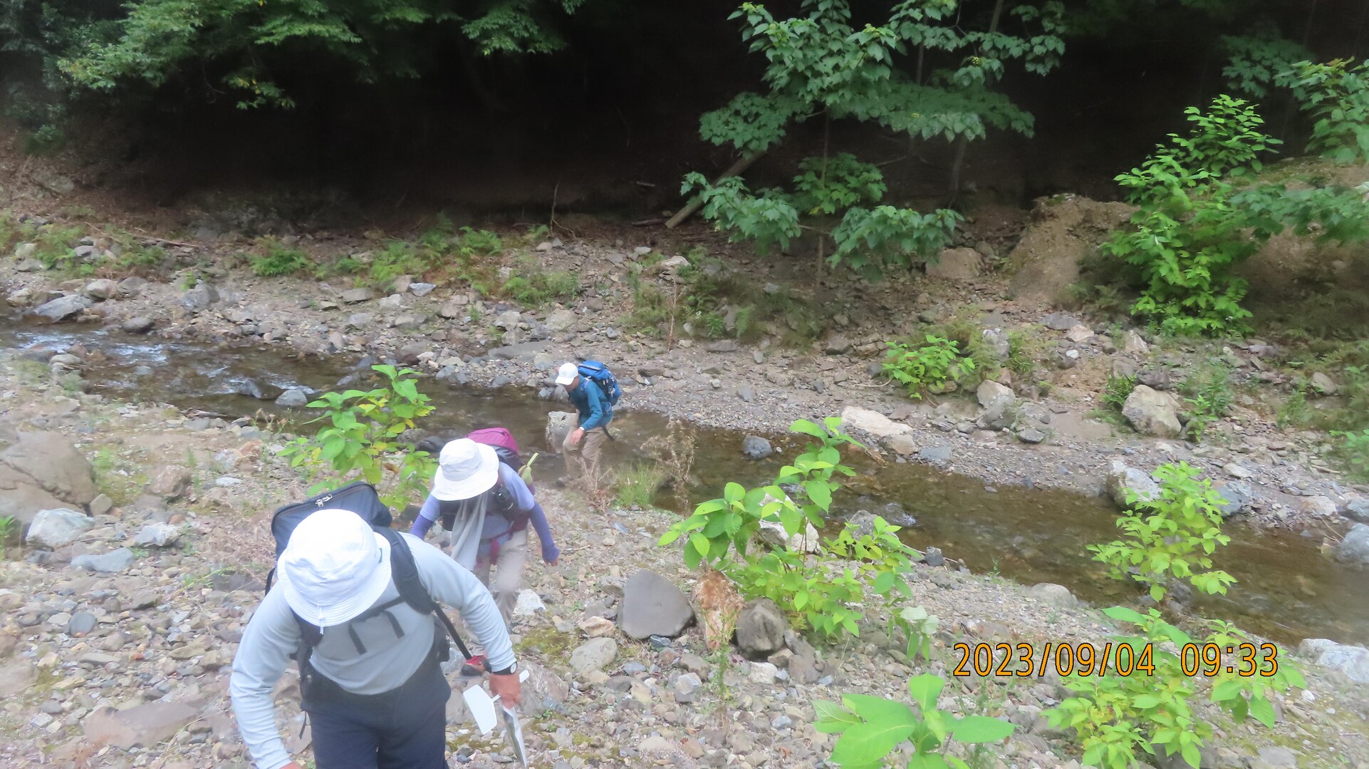 無名尾根-遠敷峠-百里周回 / ss43mさんの百里ヶ岳・三国岳の活動データ | YAMAP / ヤマップ
