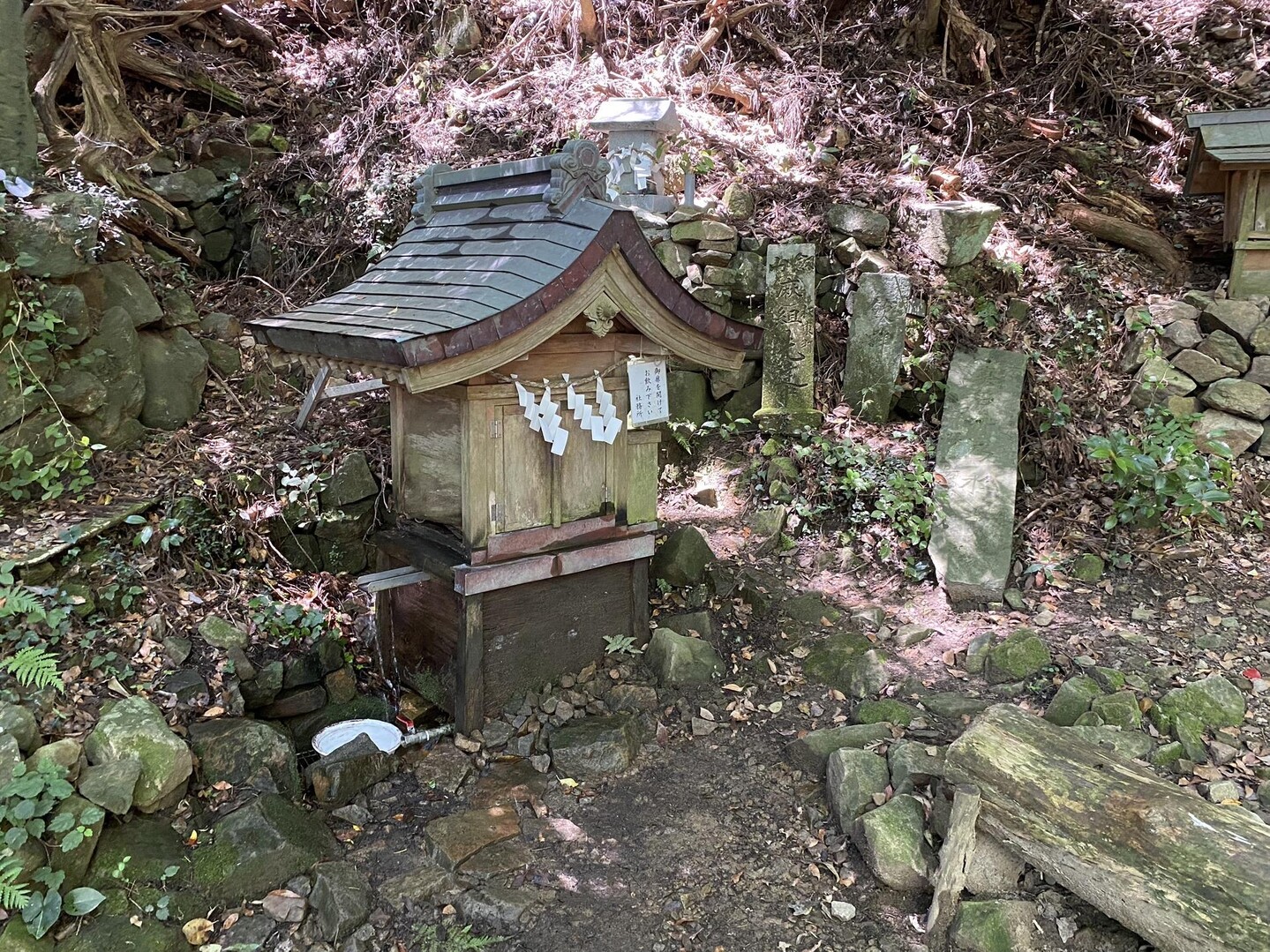 大麻山 / MJさんの大麻山・天円山の活動データ | YAMAP / ヤマップ