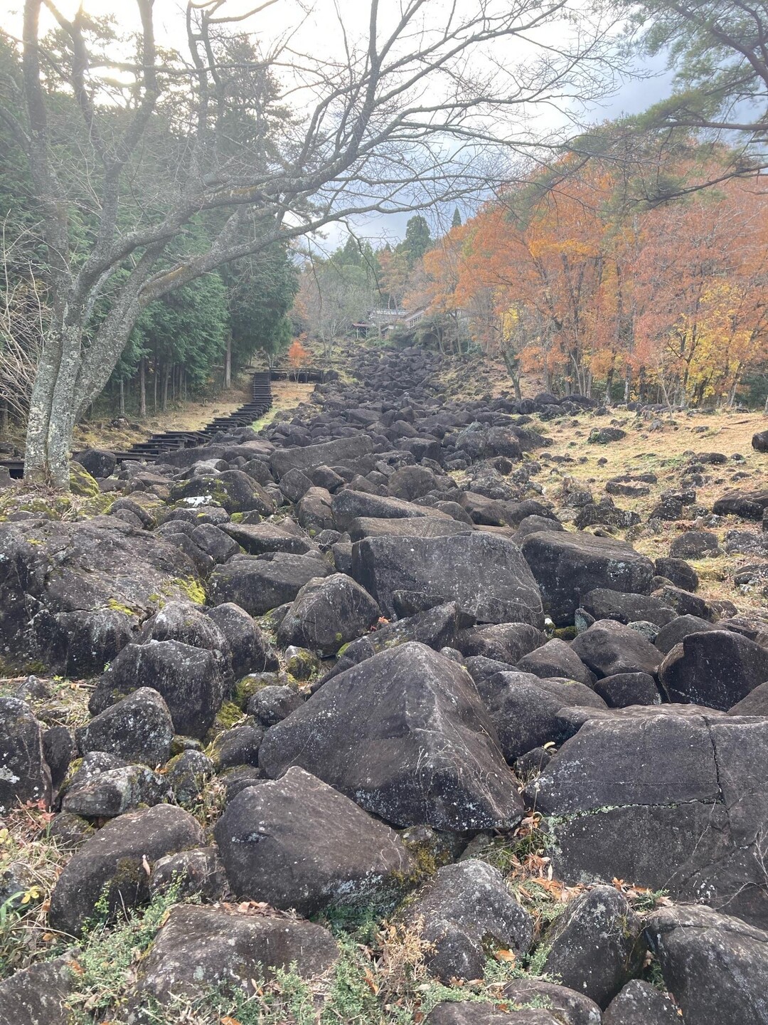 神野山 / cocoaさんの神野山の活動データ | YAMAP / ヤマップ