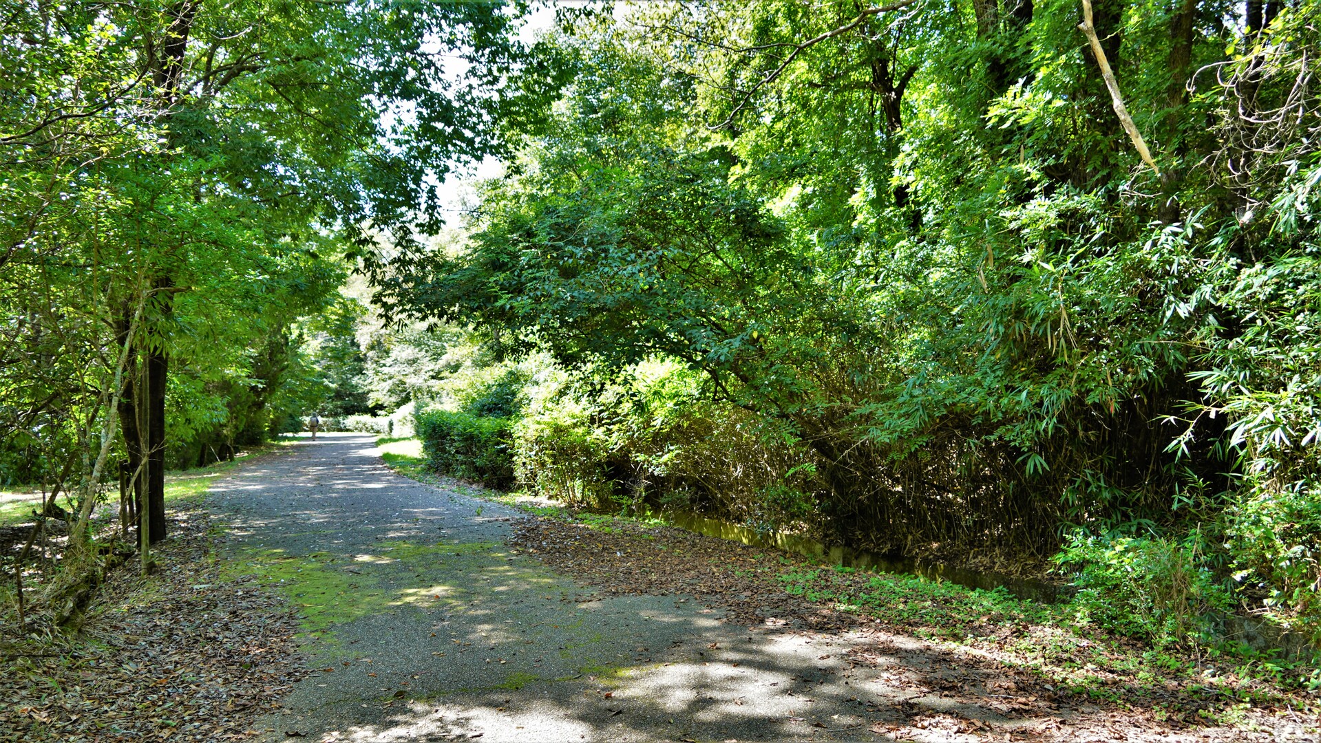 mats(まっつ)さんの投稿したフィールドメモ | YAMAP / ヤマップ