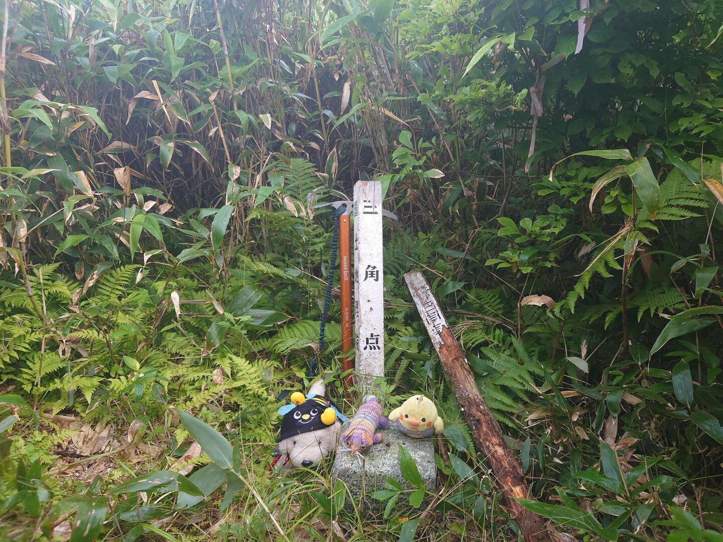 一等三角点 夕張炭山etc / fujisunさんの登山の活動データ | YAMAP / ヤマップ