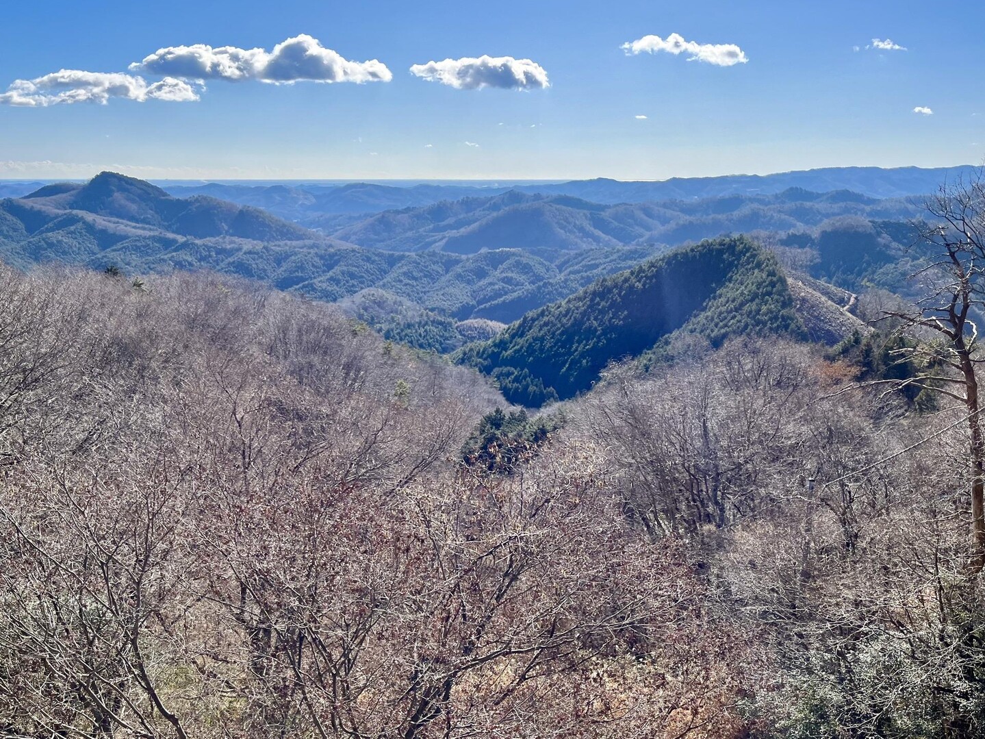 花香月山-2024-01-08 / SKさんの焼森山・鶏足山の活動データ | YAMAP / ヤマップ