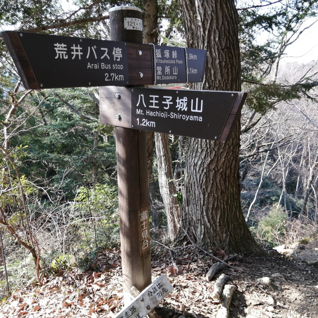 ハナメコノメソウを求めて小下沢林道～八王子城山へ / 高尾山・陣馬山・景信山の写真32枚目 | YAMAP / ヤマップ