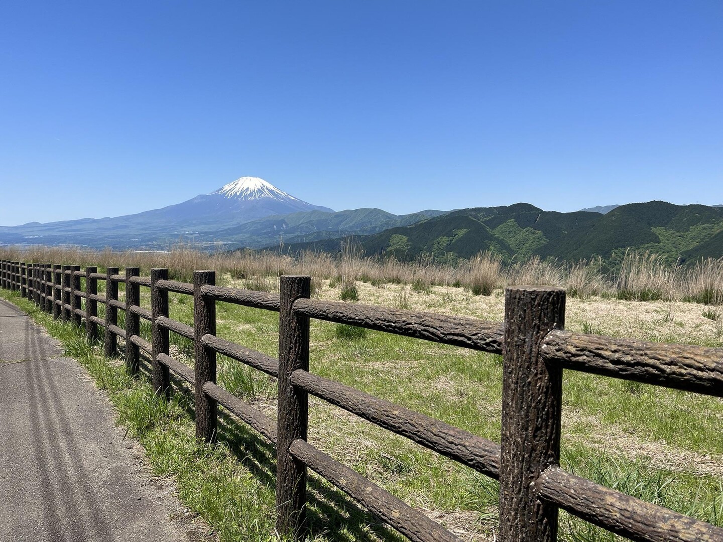 大野山 / ellyさんの高松山・大野山の活動データ | YAMAP / ヤマップ