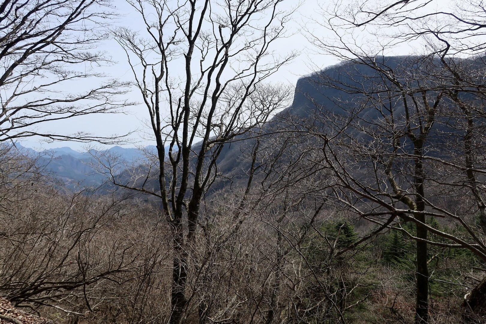 日本のテーブルマウンテン 🚢 荒船山 / heeさんの荒船山・物語山・大屋山の活動日記 | YAMAP / ヤマップ
