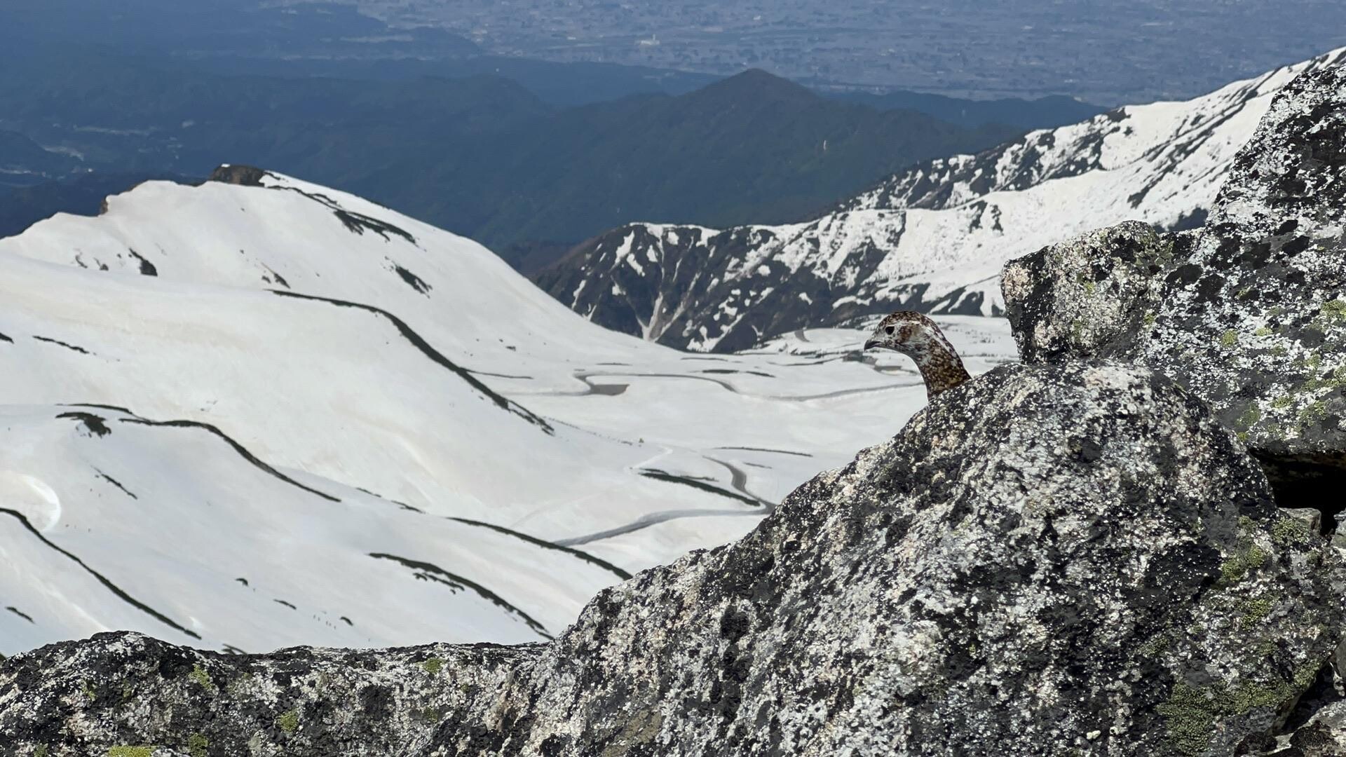 81座目 立山・雄山・大汝山・富士ノ折立・真砂岳 / Bii&Guunさんの立山・雄山・浄土山の活動データ | YAMAP / ヤマップ