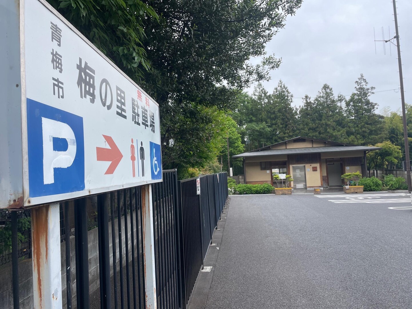 monamonaさんの投稿したフィールドメモ | YAMAP / ヤマップ