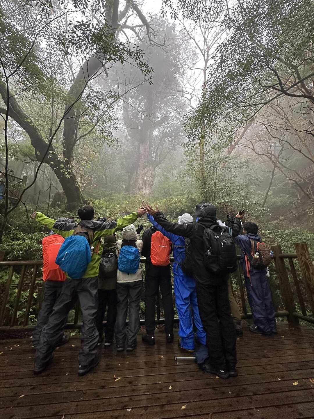 屋久島・宮之浦岳-2023-11-13 / kakoさんの屋久島・宮之浦岳の活動データ | YAMAP / ヤマップ