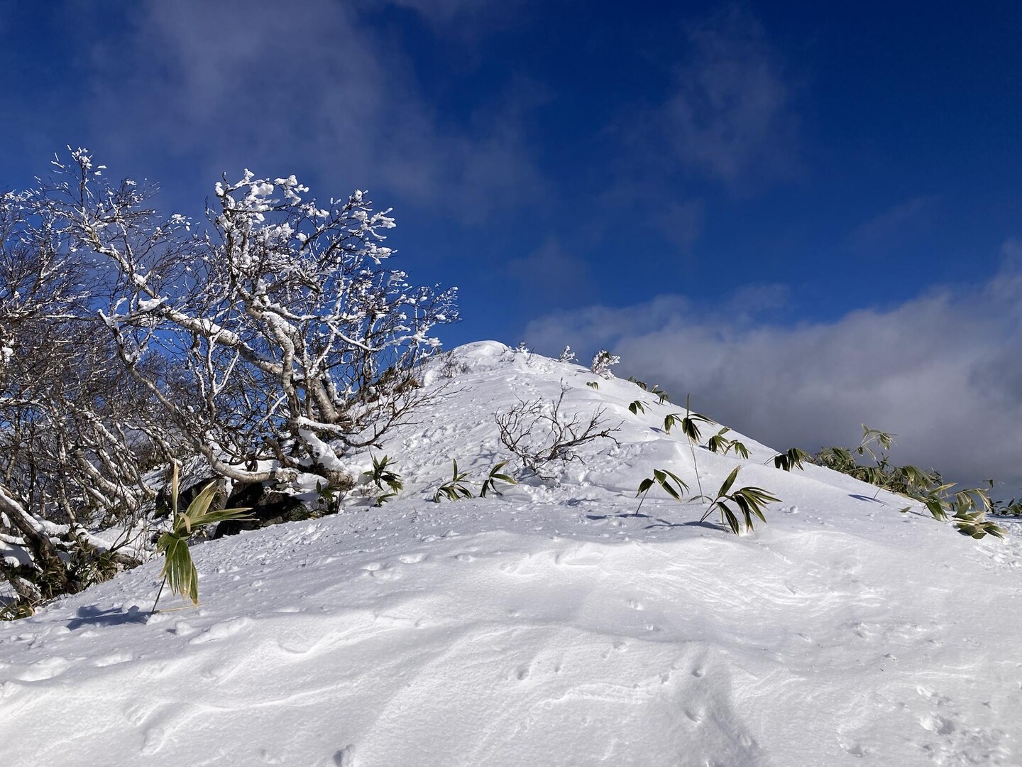 予定外だらけの鷲別岳 / ogamiさんの鷲別岳（室蘭岳）・カムイヌプリの活動データ | YAMAP / ヤマップ