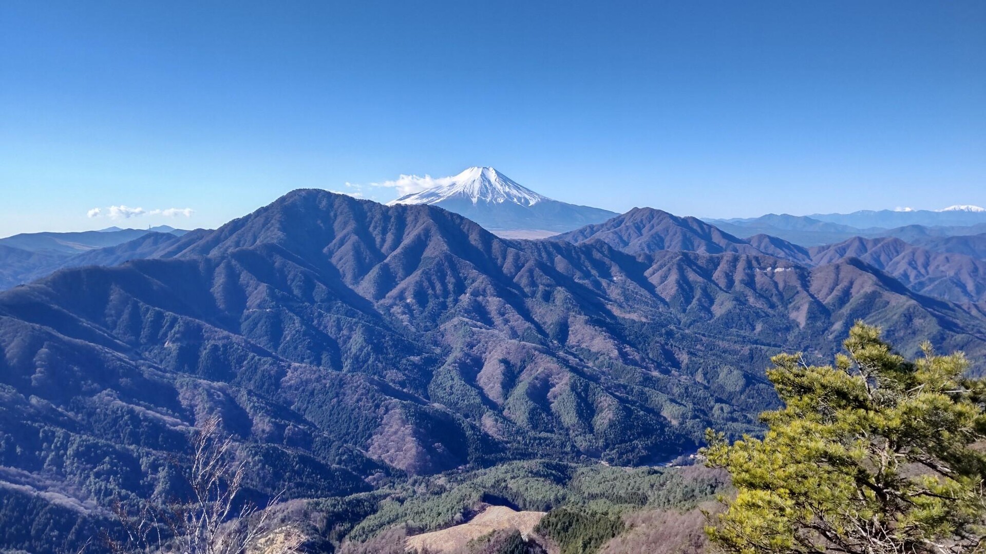 今倉山・菜畑山・松山(赤岩） / skさんの御正体山・杓子山・石割山の活動データ | YAMAP / ヤマップ