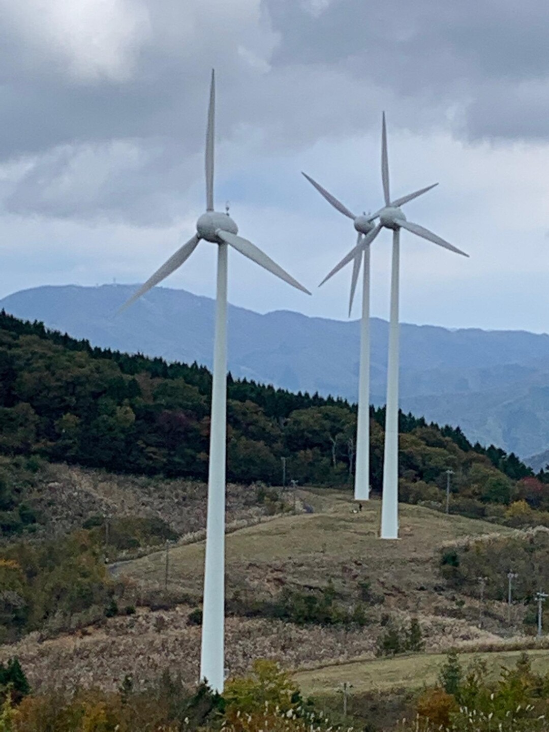 大船山 矢作風車群 / カラシオさんの三国山の活動データ | YAMAP / ヤマップ