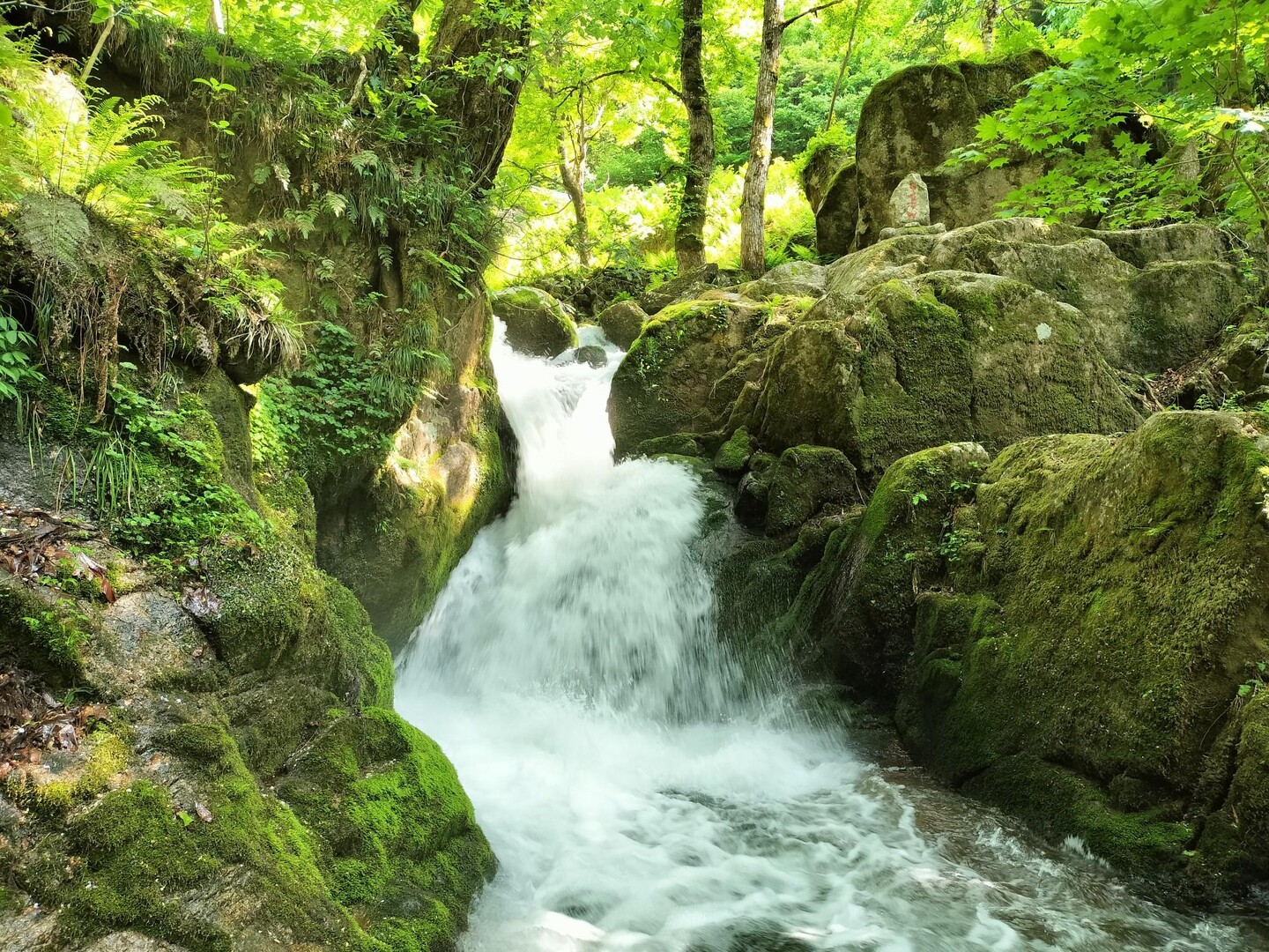 定高山 / kagataさんの二王子岳の活動データ | YAMAP / ヤマップ