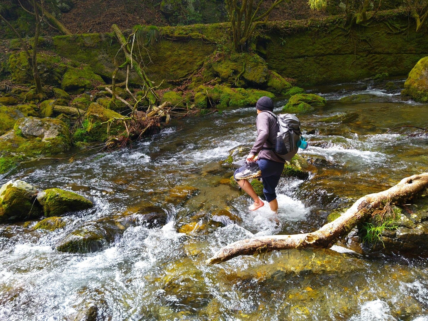 皆子山だけや物足らんやろがぃ (皆子山・折立山・権現山・ホッケ山・蓬莱山) / rnrさんの比良山地・武奈ヶ岳・釈迦岳の活動データ | YAMAP / ヤマップ