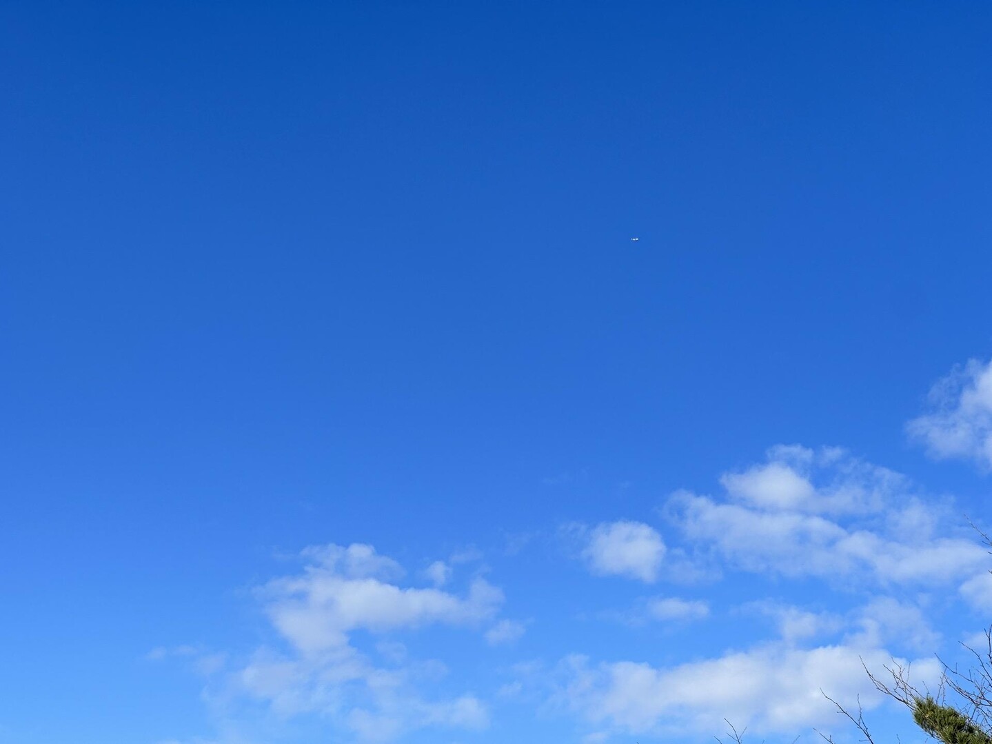 千貫森（UFOふれあい館） / あゆさんの女神山の活動データ | YAMAP / ヤマップ