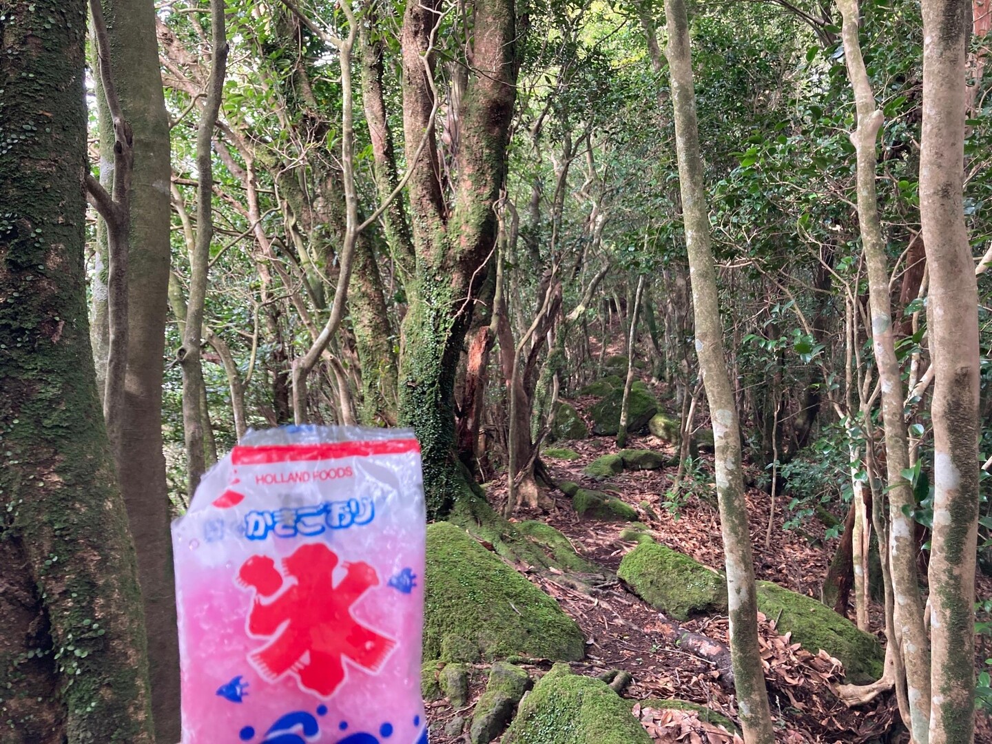 蛇焼山・黒髪山・青螺御前・青螺山・牧II峰（青牧山）・牧ノ山 / 彦太郎さんの黒髪山・青螺山の活動データ | YAMAP / ヤマップ