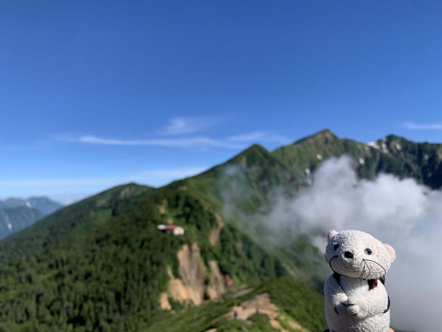 鹿島槍ヶ岳 最高の景色 / ARさんの鹿島槍ヶ岳・五竜岳（五龍岳）・唐松岳の活動データ | YAMAP / ヤマップ