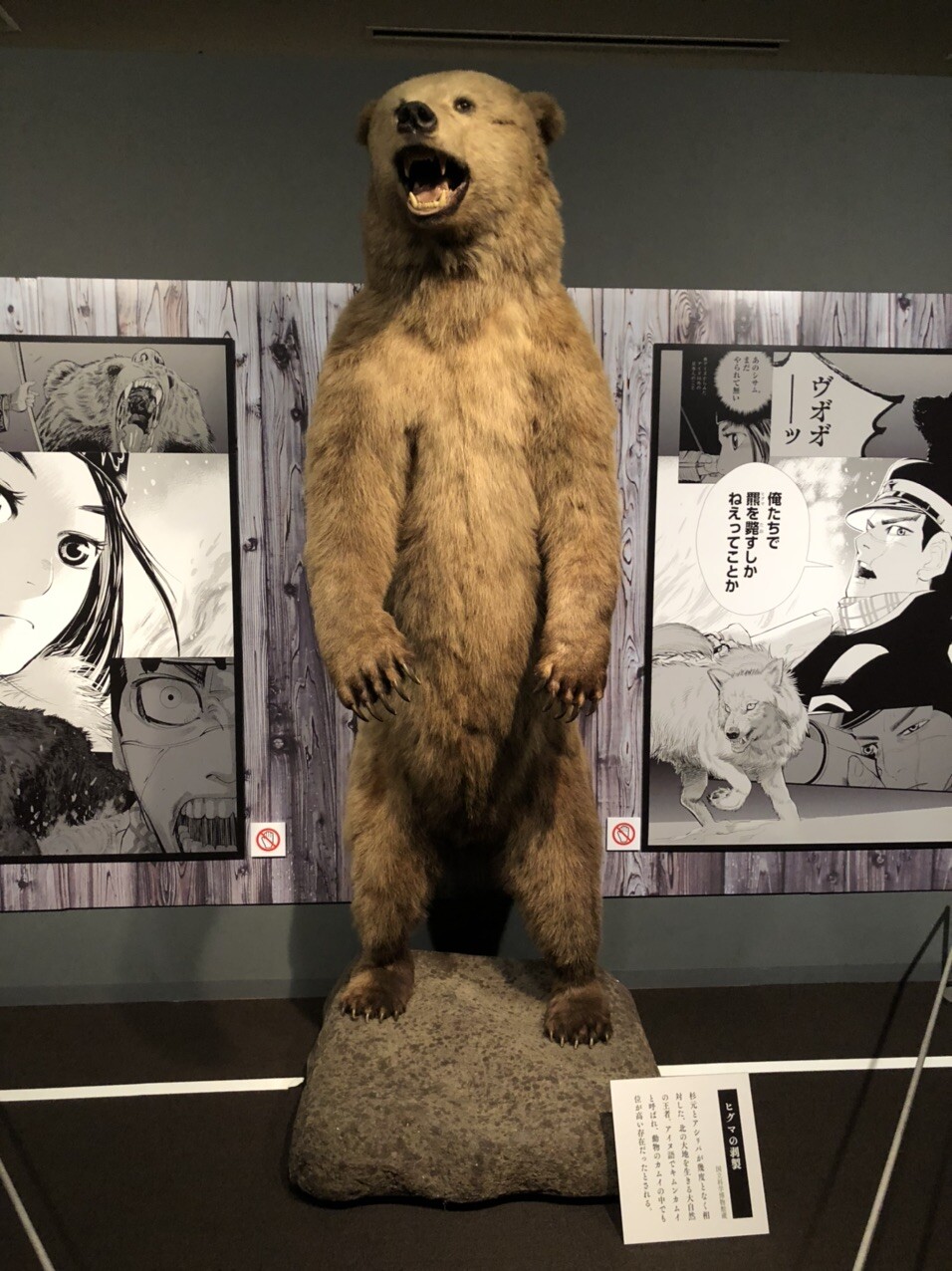 KUMAのページ | YAMAP / ヤマップ