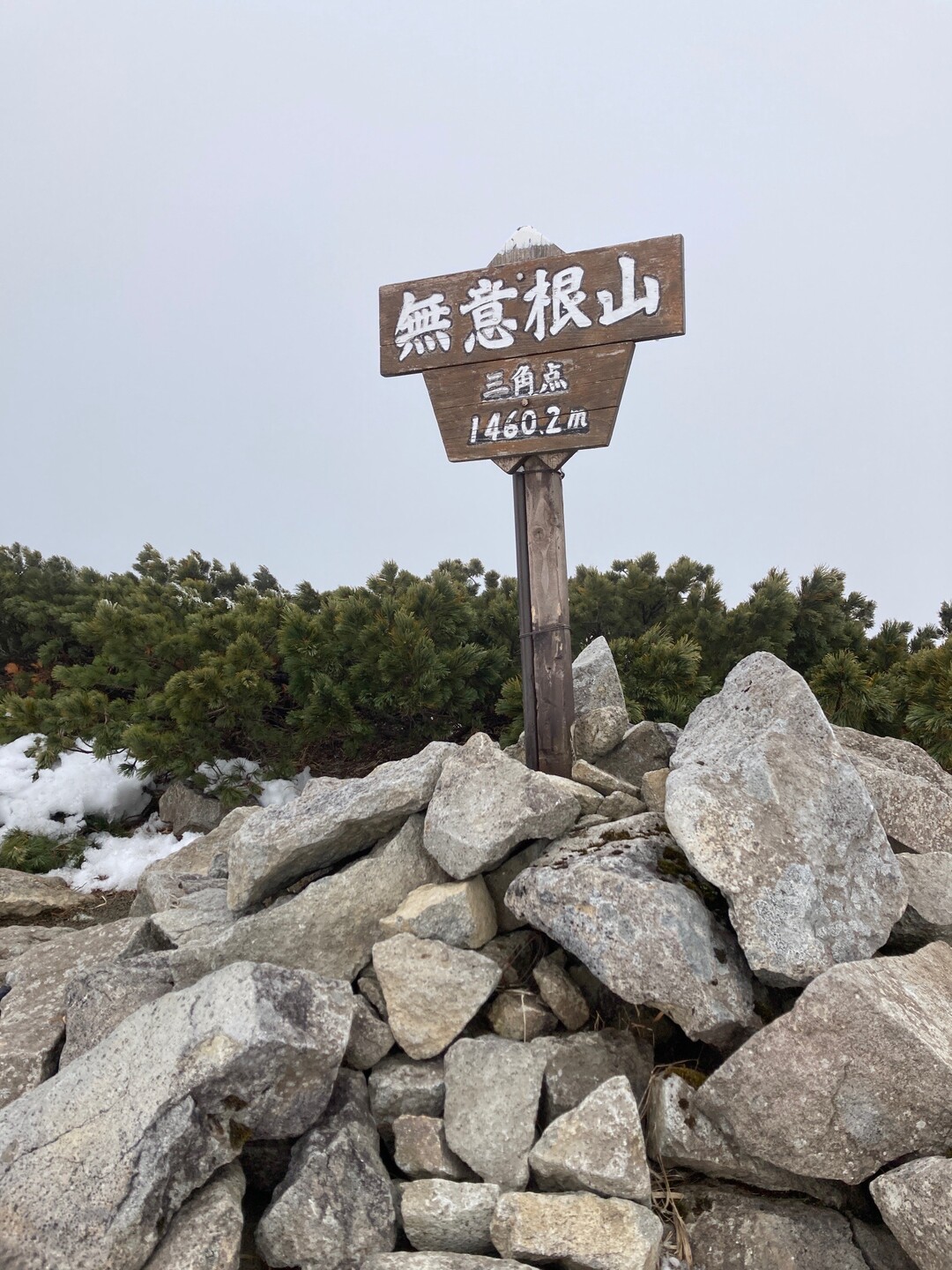 無意根山 🌪爆風💦 / Ezo1さんのウォーキングの活動データ | YAMAP / ヤマップ