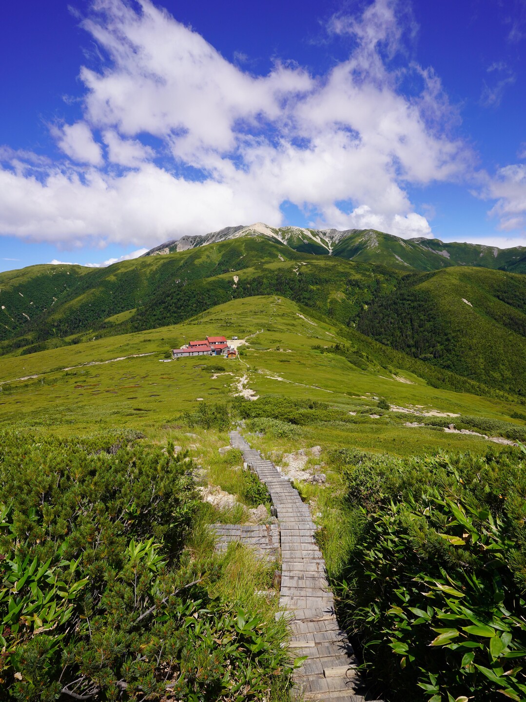 mats(まっつ)さんの投稿したフィールドメモ | YAMAP / ヤマップ