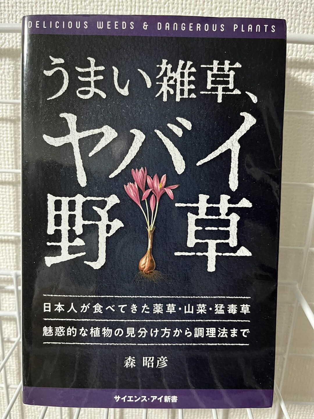 去年プレゼントにもらった本 色んな意味で... / ディンさんのモーメント | YAMAP / ヤマップ