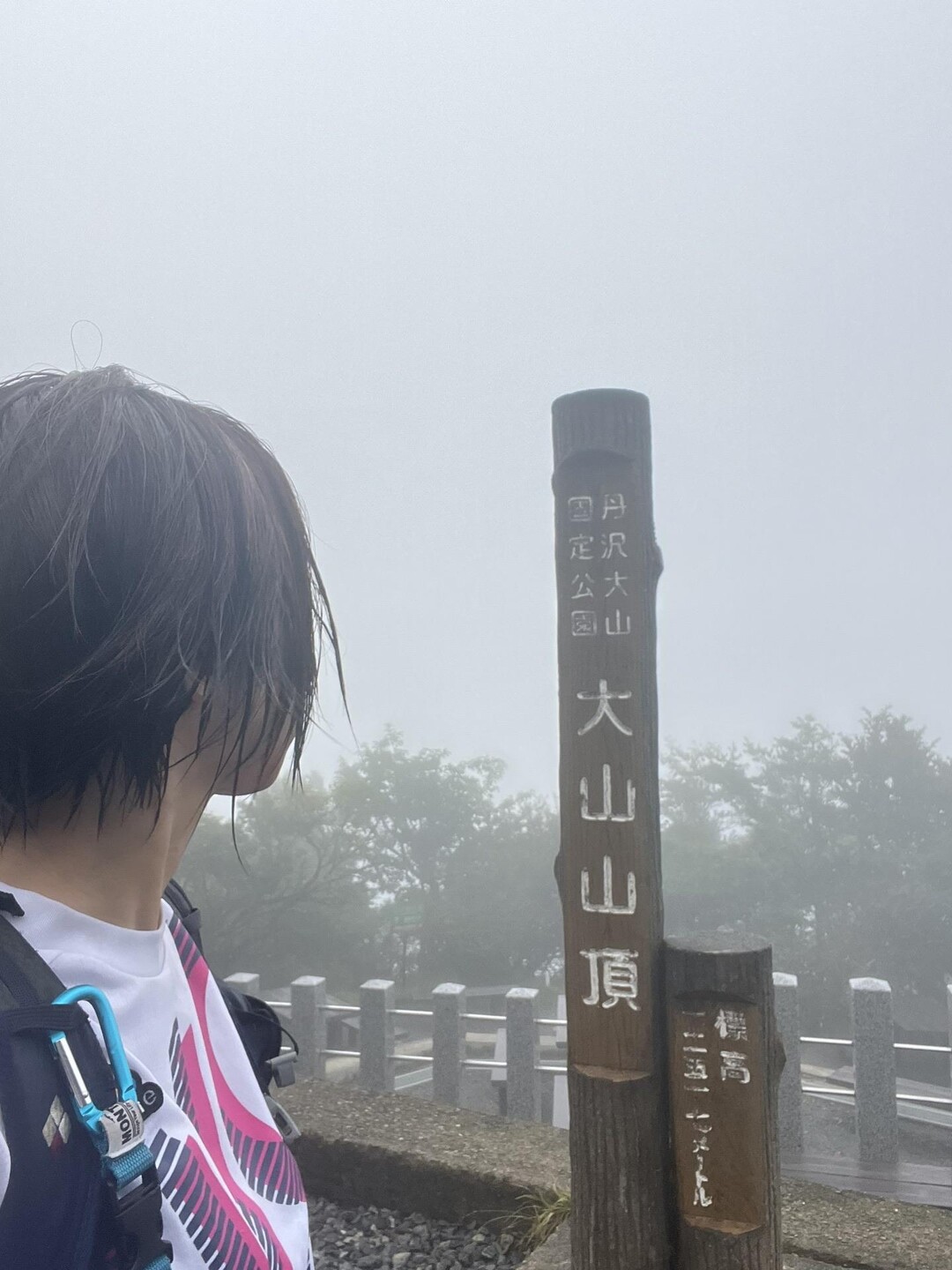 大山 朝は濃いめの霧だったけど時間と共に... / Blackswanさんのモーメント | YAMAP / ヤマップ