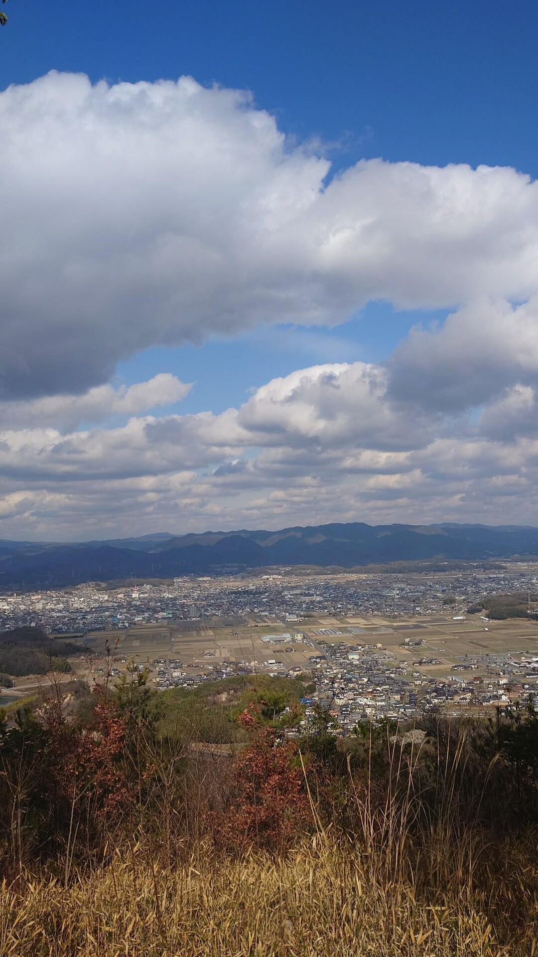 水曜日だけど福山 / masaeさんの福山・江田山・高鳥居山の活動データ | YAMAP / ヤマップ
