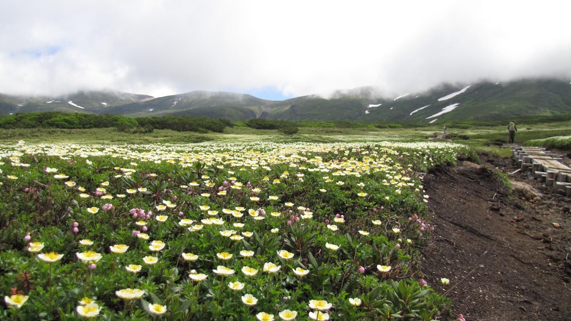 ニュースキャスターの小倉智昭さんが亡くな... / YOTAさんのモーメント | YAMAP / ヤマップ