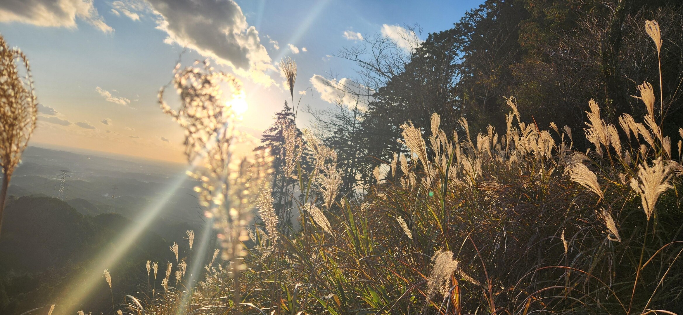 本宮山～粟ヶ岳 / yasutakaさんのウォーキングの活動データ | YAMAP / ヤマップ