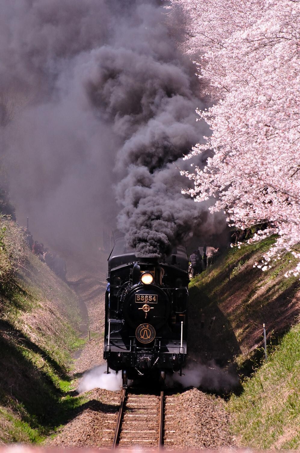 さよならSL人吉 このモーメントは山には... / shortgame_instaさんのモーメント | YAMAP / ヤマップ