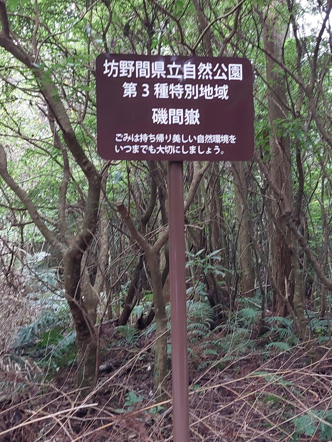 P325・中嶽・磯間嶽 / さんしさんの亀ヶ丘・高ボ子山の活動データ | YAMAP / ヤマップ