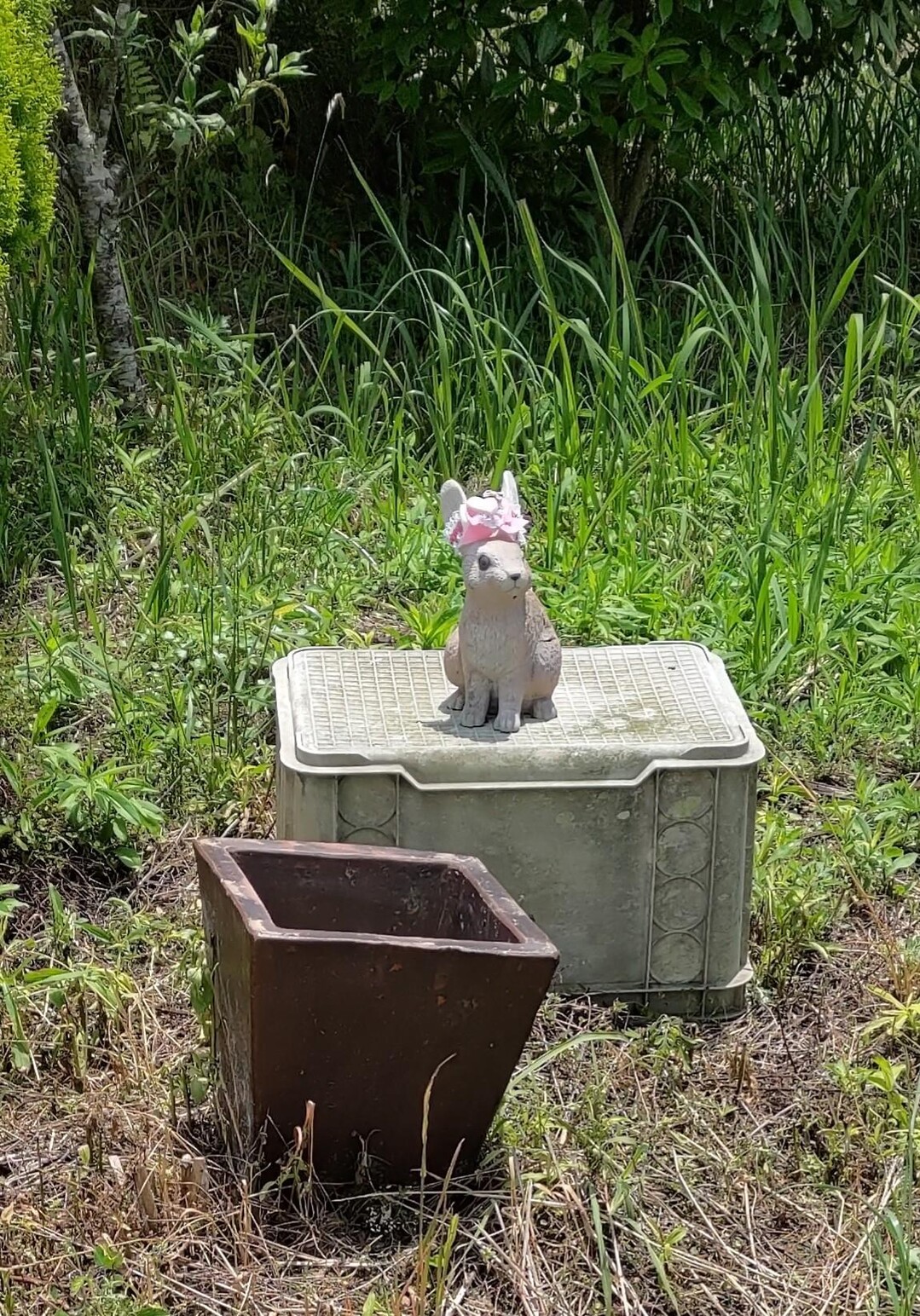 新立山 / anto SSさんの新立山（権現山）・城ヶ浦山・大平山の活動データ | YAMAP / ヤマップ