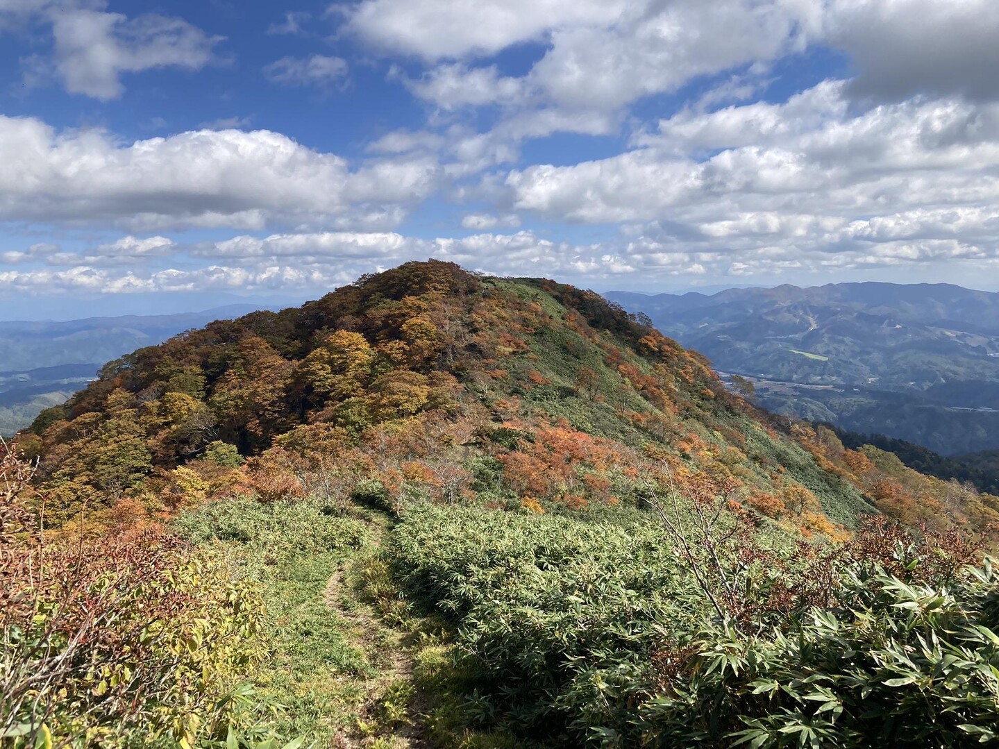 大日ヶ岳 / RYUさんの大日ヶ岳・毘沙門岳の活動データ | YAMAP / ヤマップ