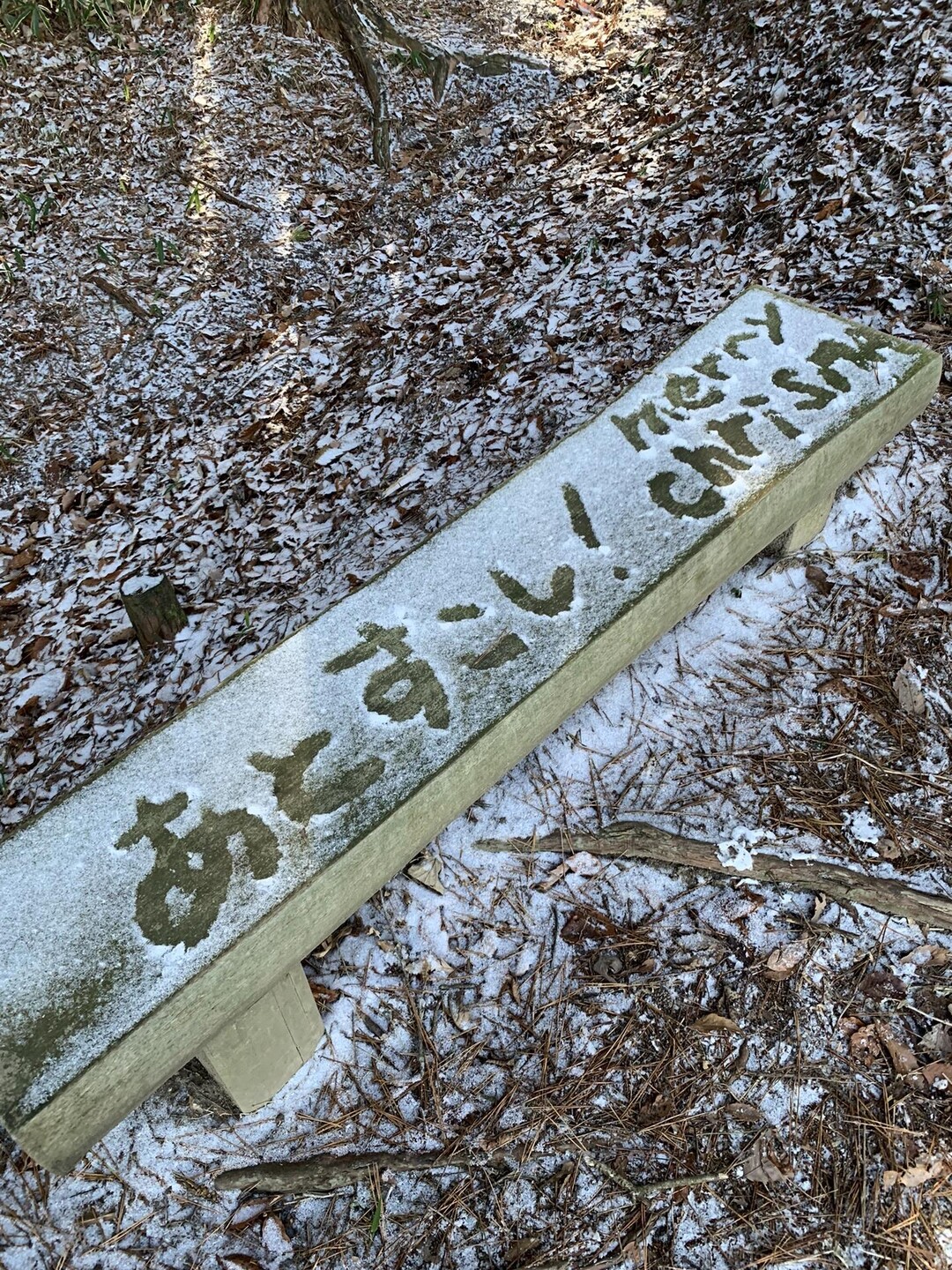 曽良山（鶴岡山・西山） / siroさんの曽良山（鶴岡山・西山）の活動日記 | YAMAP / ヤマップ